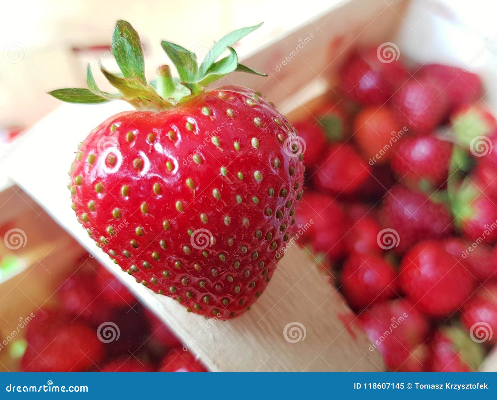 Sweet strawberry stock image. Image of grow, natural - 118607145
