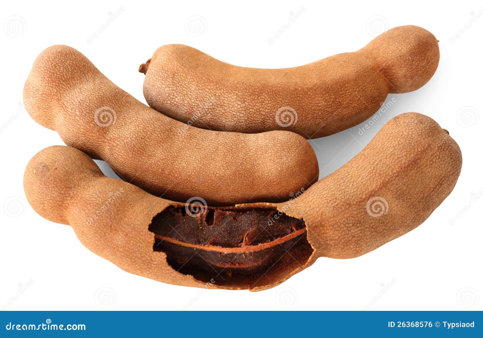 Sweet Tamarind stock photo. Image of herb, asia, seed - 26368576