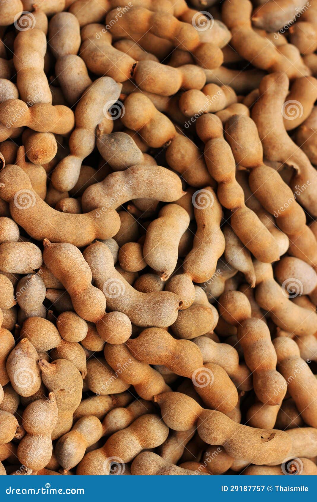 Sweet tamarind. stock image. Image of isolated, candy - 29187757