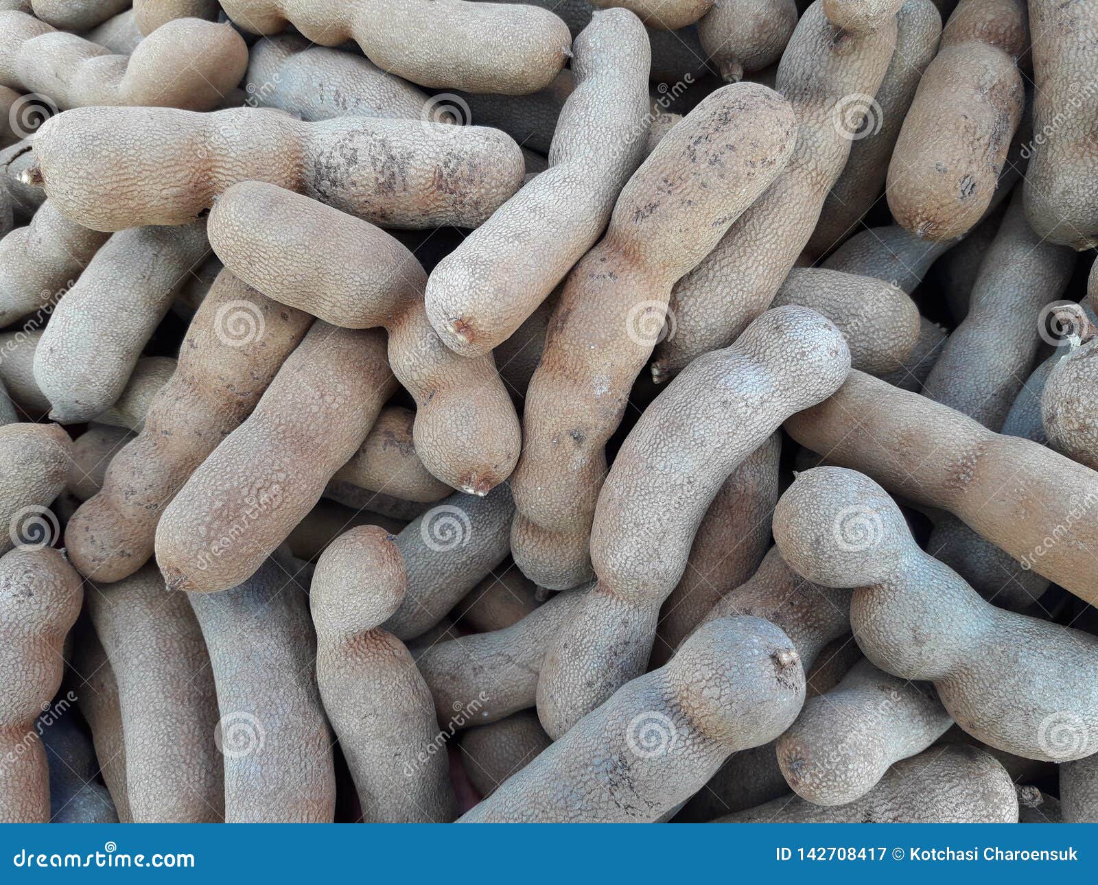 Sweet Tamarind stock image. Image of organic, nutrition - 142708417