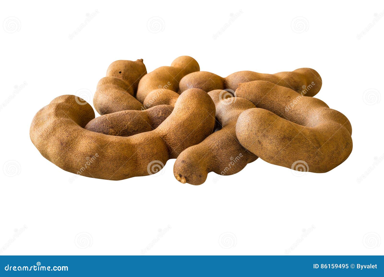 Sweet Tamarind stock image. Image of tropical, shell - 86159495