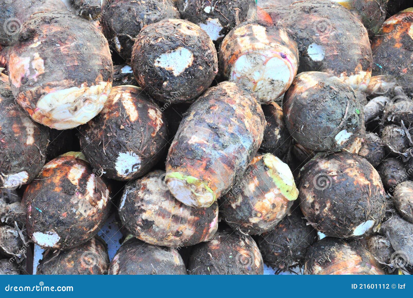 Sweet taro stock photo. Image of brown, stack, taros - 21601112