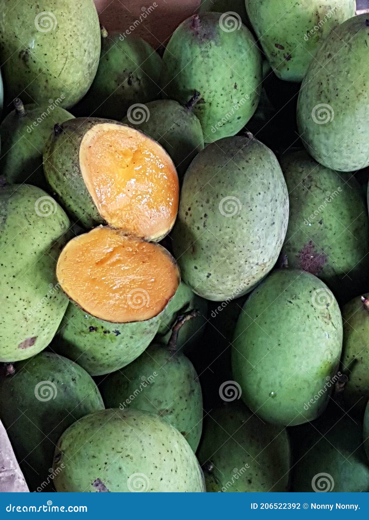 Sweet taste mango fruits stock photo. Image of citrus - 206522392