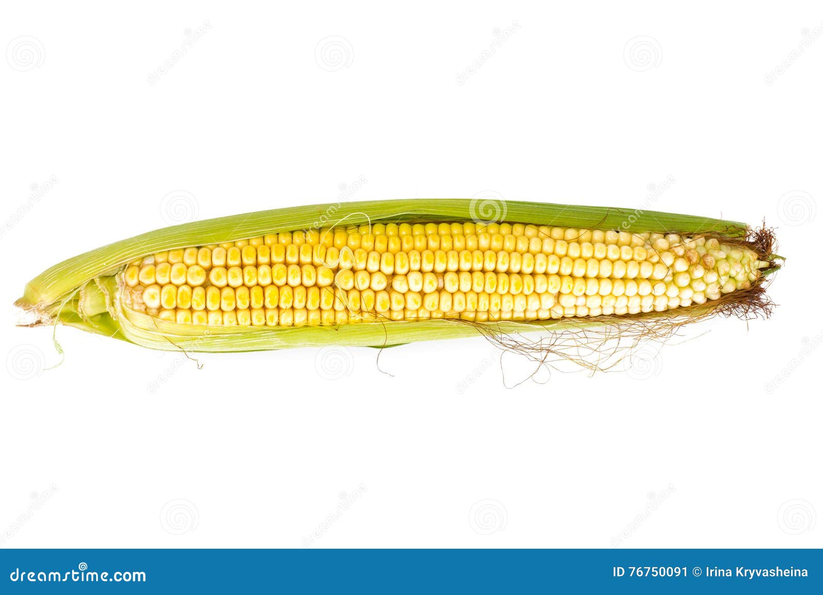 Sweet Tasty Corn Cob Studio Photo Isolated on White Stock Image - Image ...