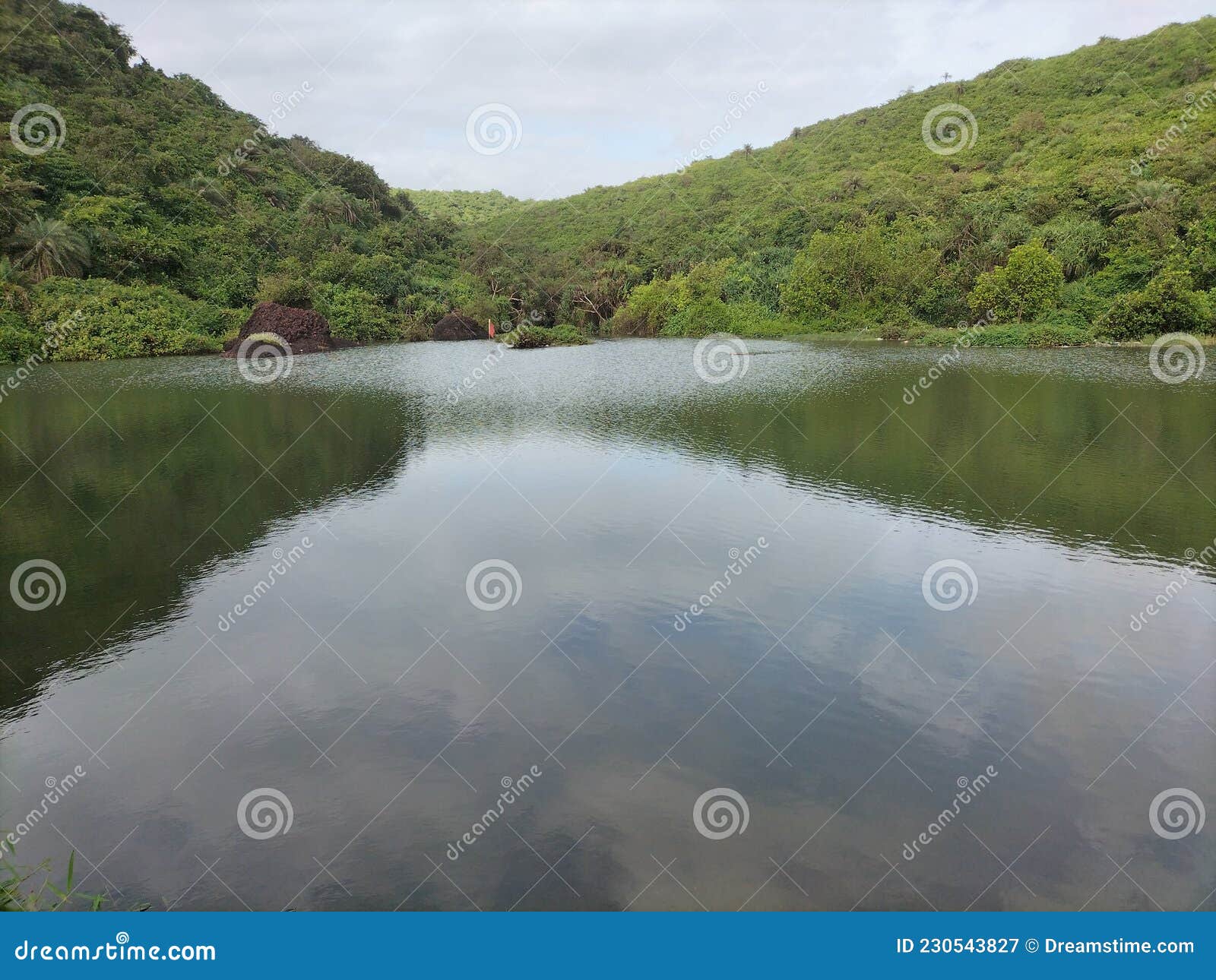 Sweet Water Lake Goa India stock image. Image of water - 230543827