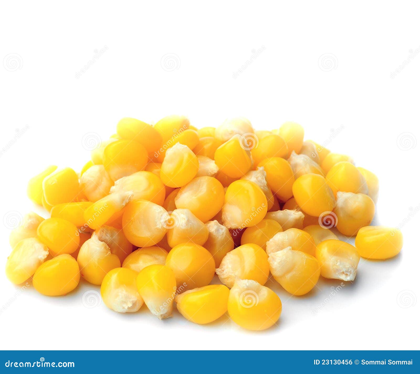 Sweet whole kernel corn stock photo. Image of vegeterian - 23130456