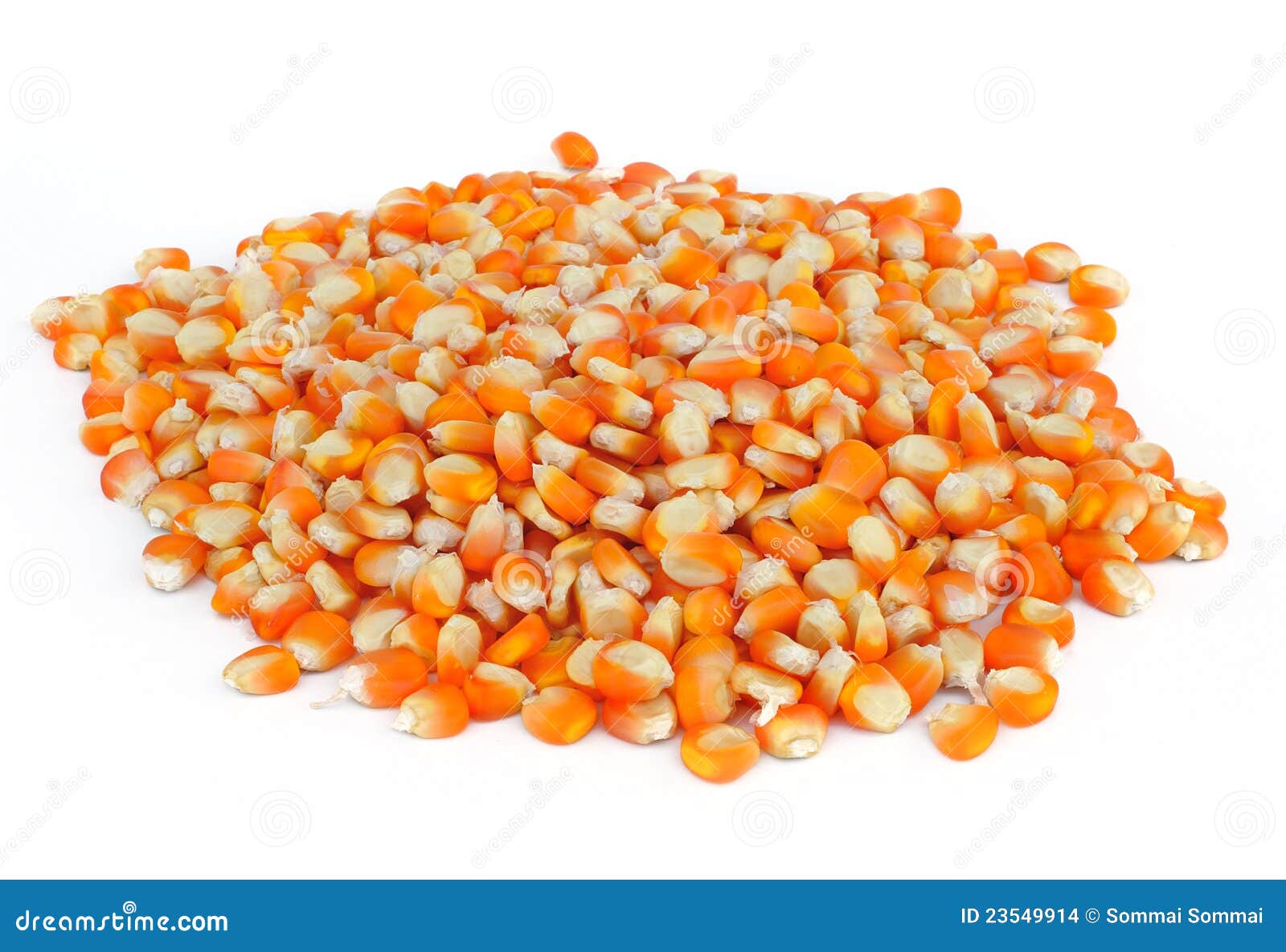 Sweet whole kernel corn stock photo. Image of vegetable - 23549914