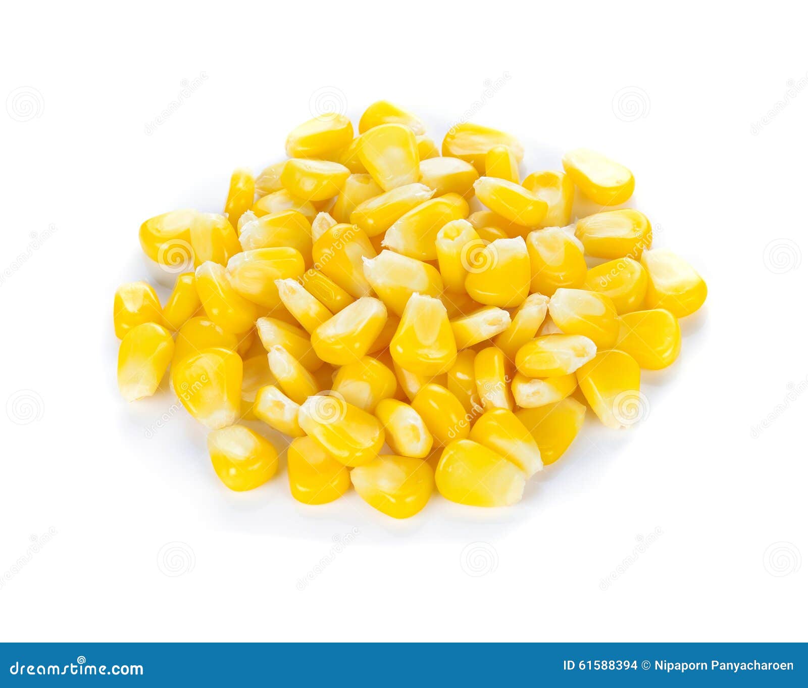 Sweet whole kernel corn stock photo. Image of healthy - 61588394