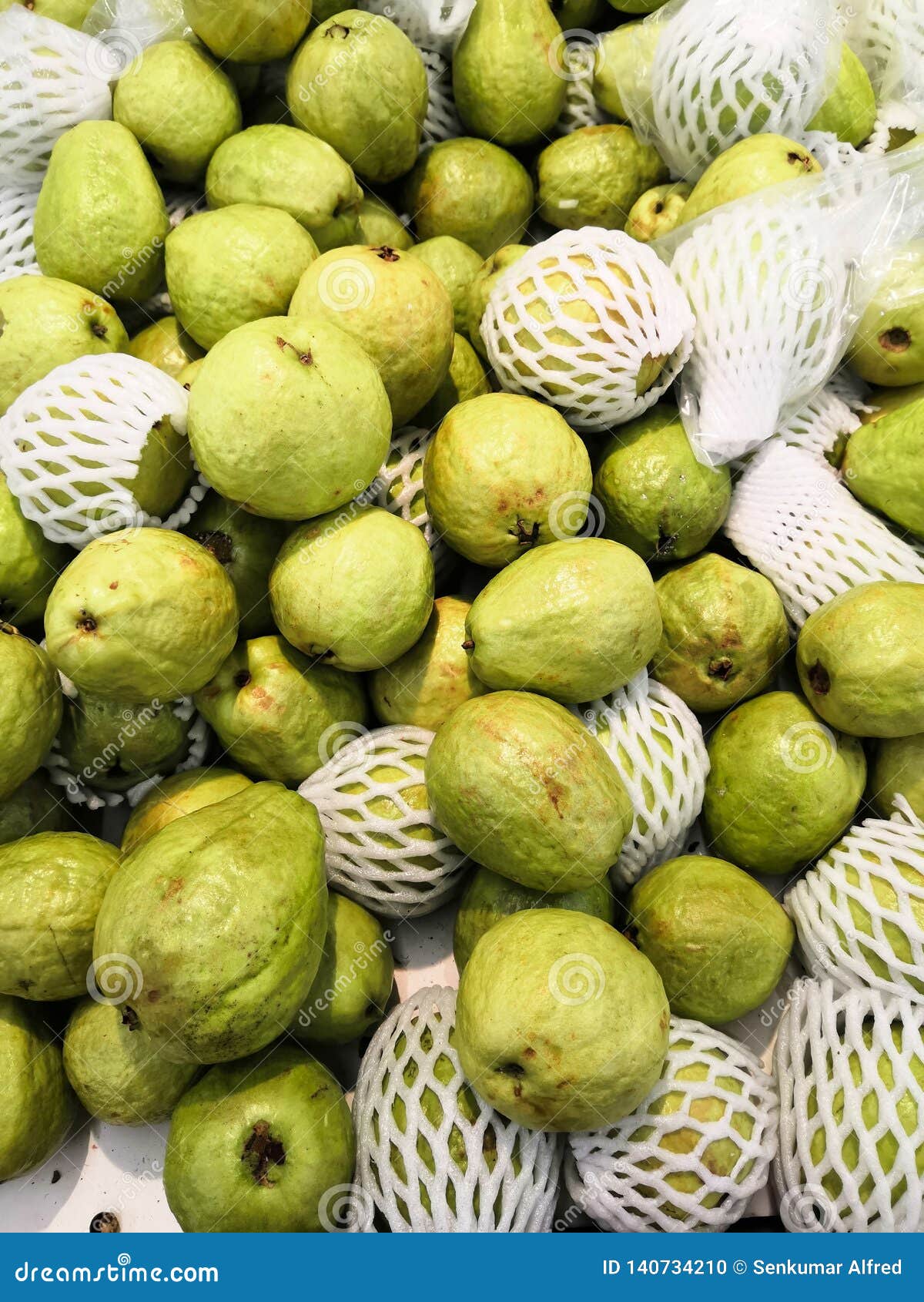 Sweet yellow Guava stock photo. Image of cultivated - 140734210