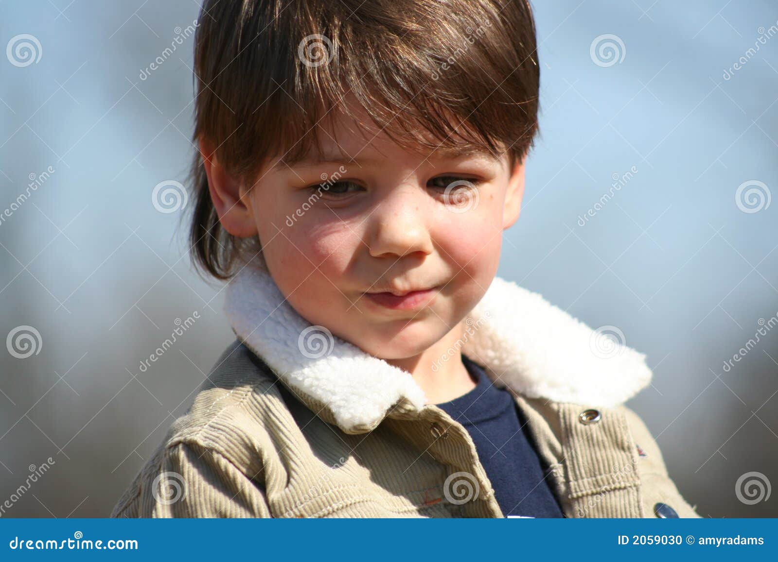 Sweet Young Boy stock photo. Image of grin, frisky, charming - 2059030