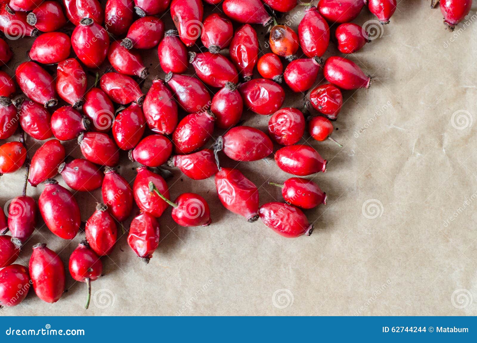 Sweetbrier Berries Red Background Stock Photo - Image of medical, leaf ...