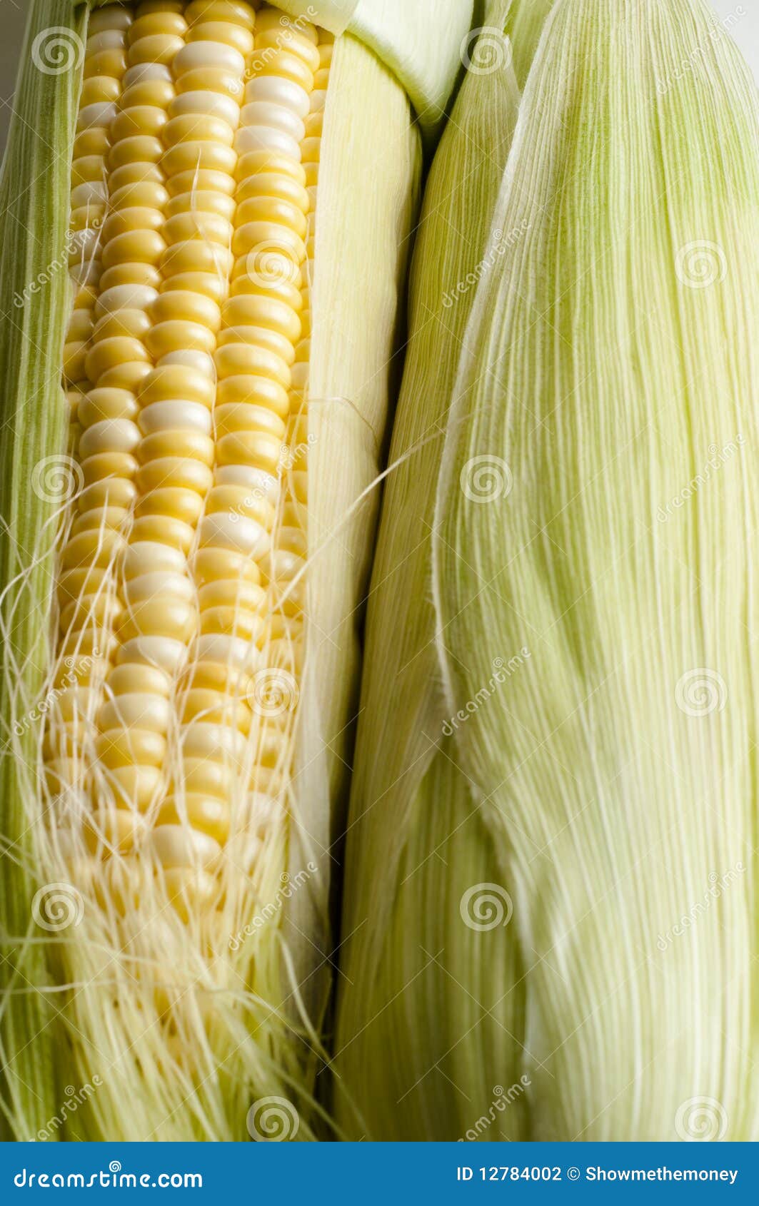Sweetcorn stock photo. Image of sweet, healthy, ripe - 12784002