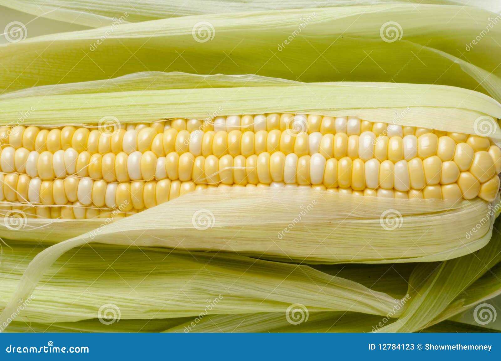 Sweetcorn stock image. Image of frame, close, fresh, corn - 12784123