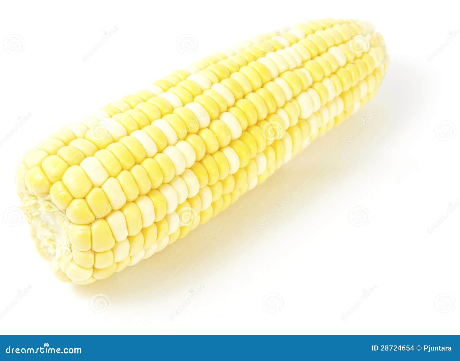 Sweetcorn stock photo. Image of fresh, golden, object - 28724654
