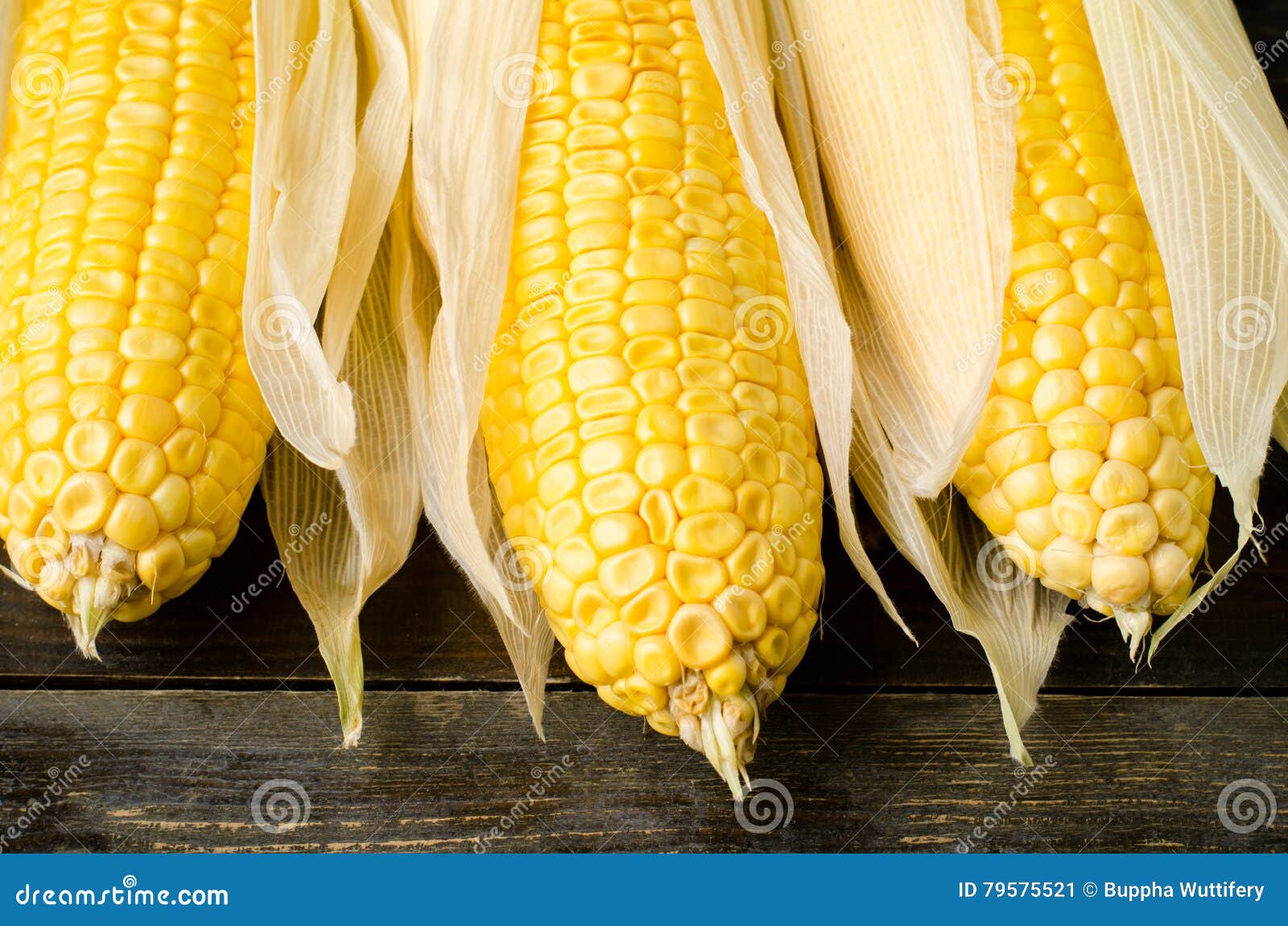 Sweetcorn image stock. Image du collecte, vivacité, légume - 79575521