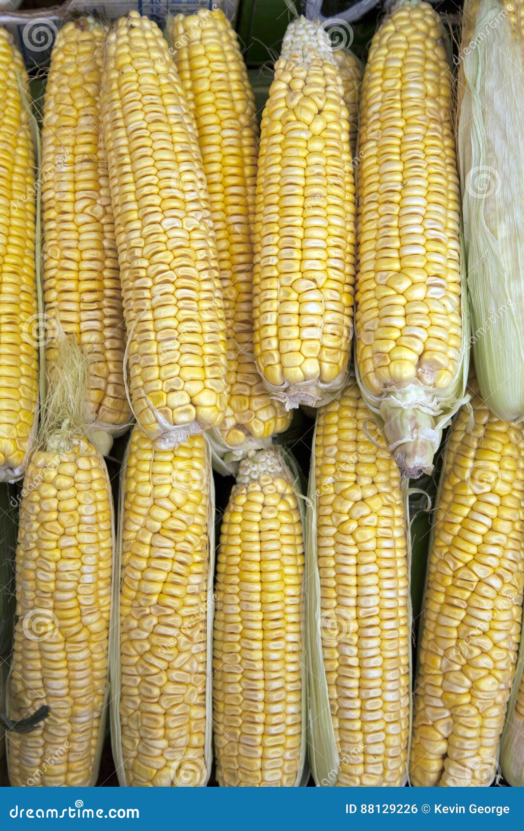 Sweetcorn Background stock photo. Image of market, corn - 88129226