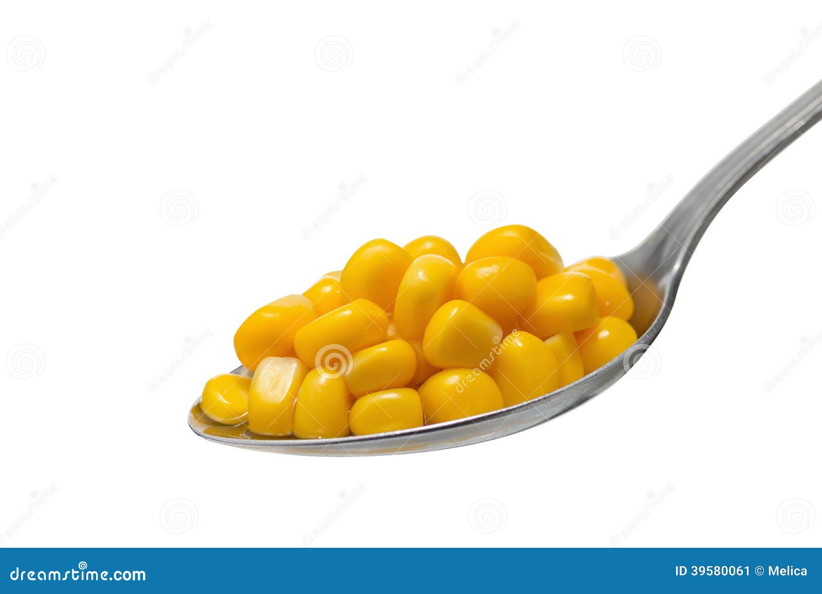 Sweetcorn stock image. Image of backdrop, crops, food - 39580061