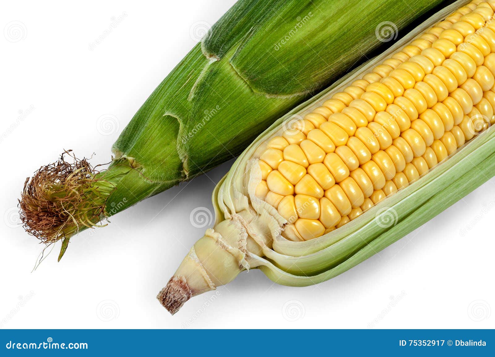 Sweetcorn stock image. Image of biofuel, life, nutrition - 75352917