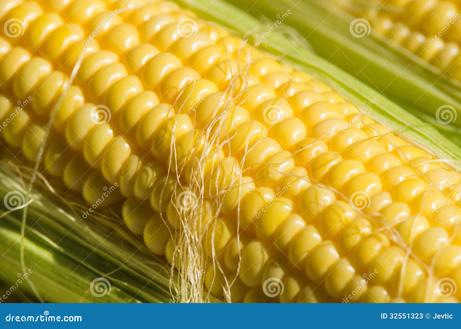 Sweetcorn stock image. Image of culture, leaf, husk, food - 32551323