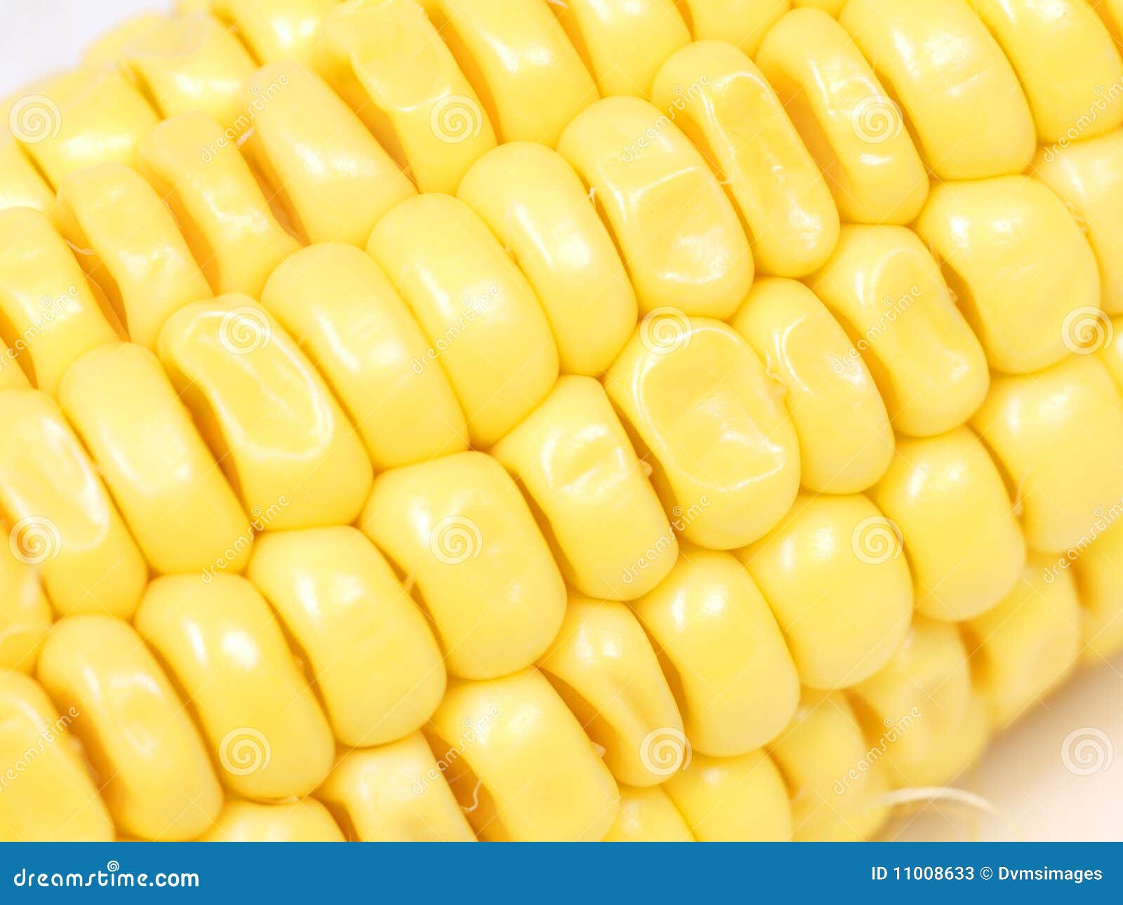 Sweetcorn detail stock image. Image of segments, vegetable - 11008633