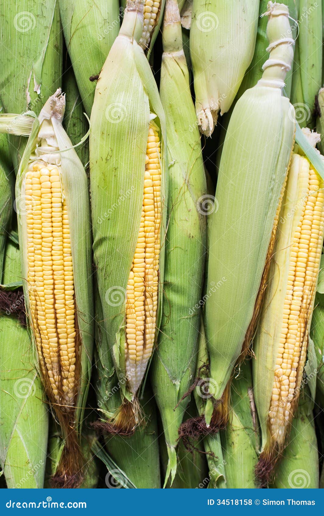 Sweetcorn stock photo. Image of green, market, stall - 34518158