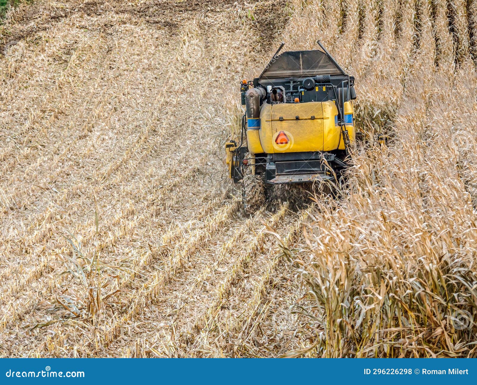 Sweetcorn Harvester at Work Stock Photo - Image of farming, maize ...