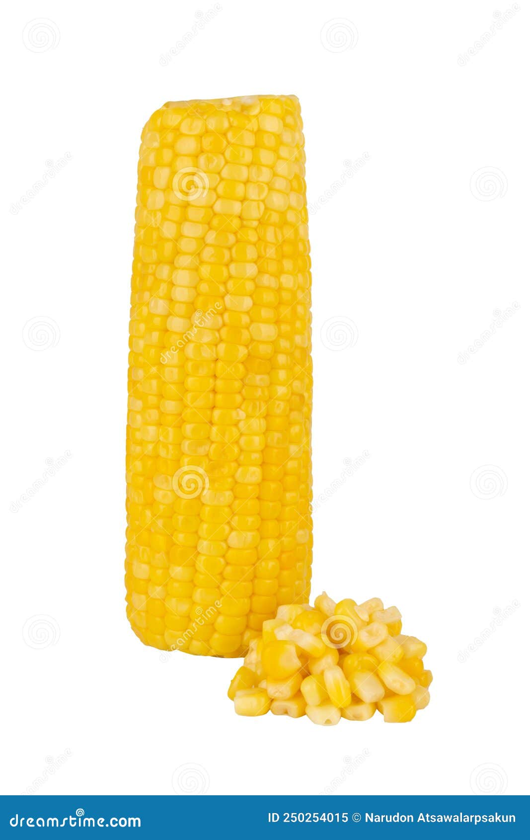 Sweetcorn Isolated on White Background Stock Image - Image of ...