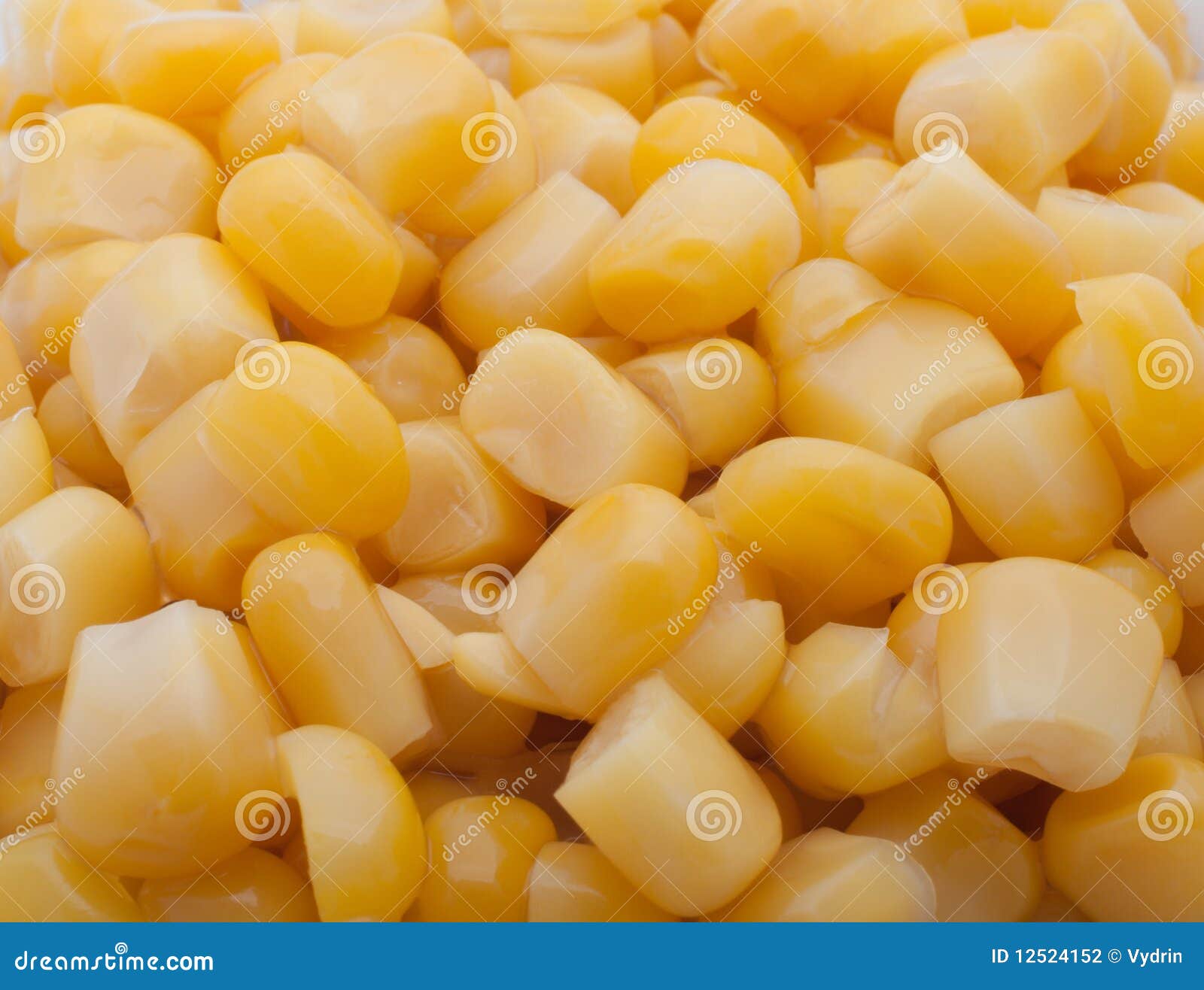 Sweetcorn kernels stock photo. Image of vegetable, sweetcorn - 12524152
