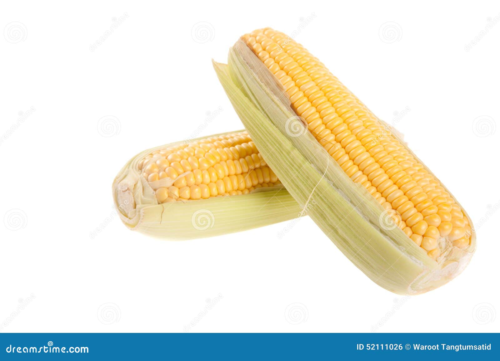 Sweetcorn on White Background Stock Photo - Image of golden, green ...