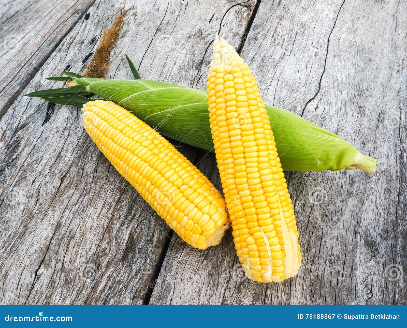 Sweetcorn stock image. Image of nutrition, corn, vilamin - 78188867