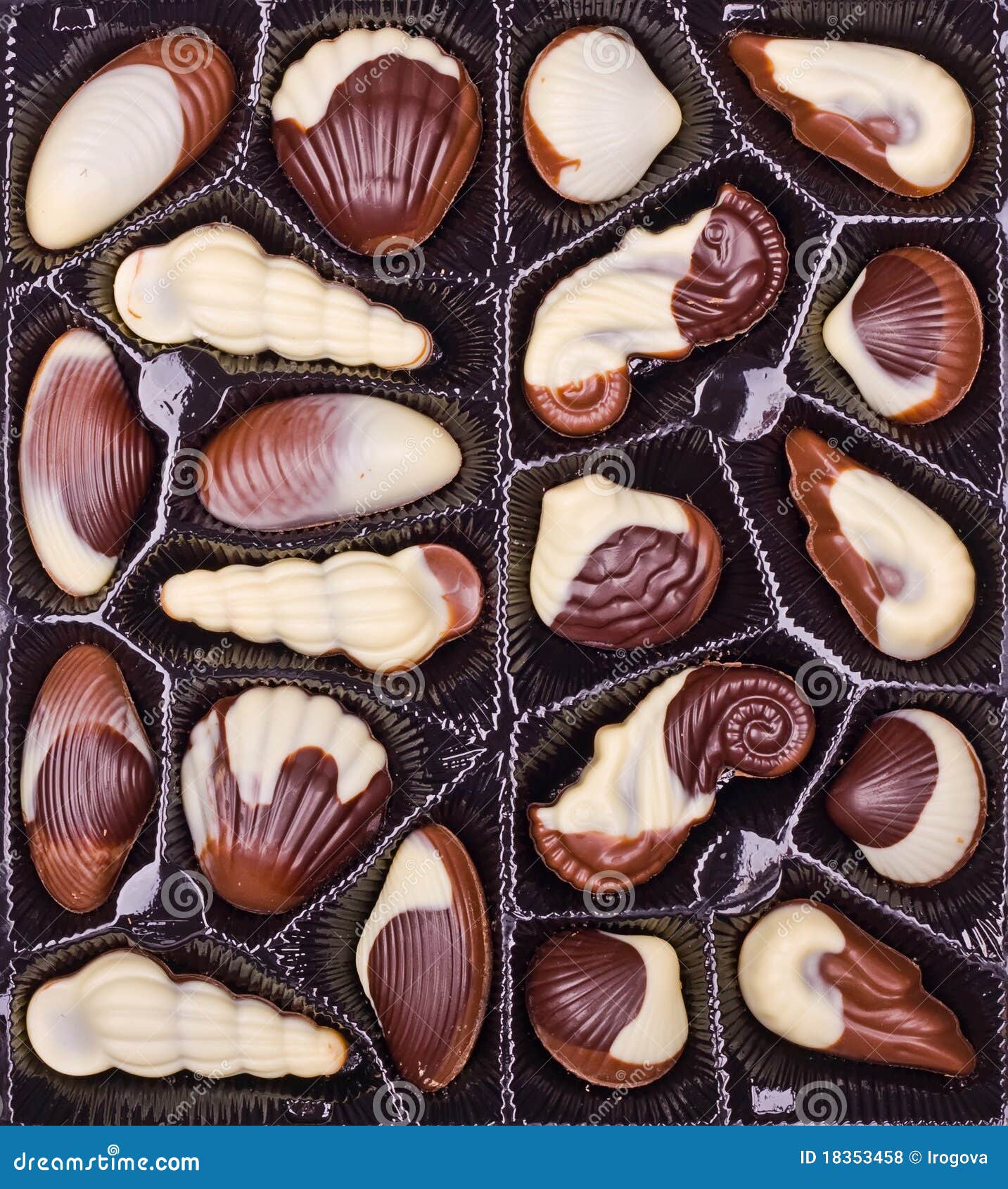 Sweets in the Form of Sea Shells Stock Photo - Image of brown, candy ...