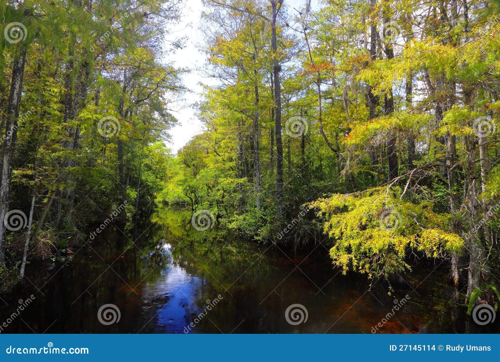 27,204 Natural Channel Stock Photos - Free & Royalty-Free Stock Photos ...