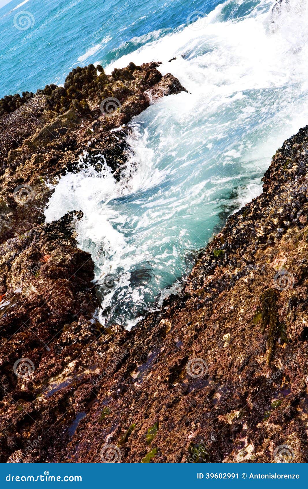 Swelling tide pools stock image. Image of rock, shoreline - 39602991