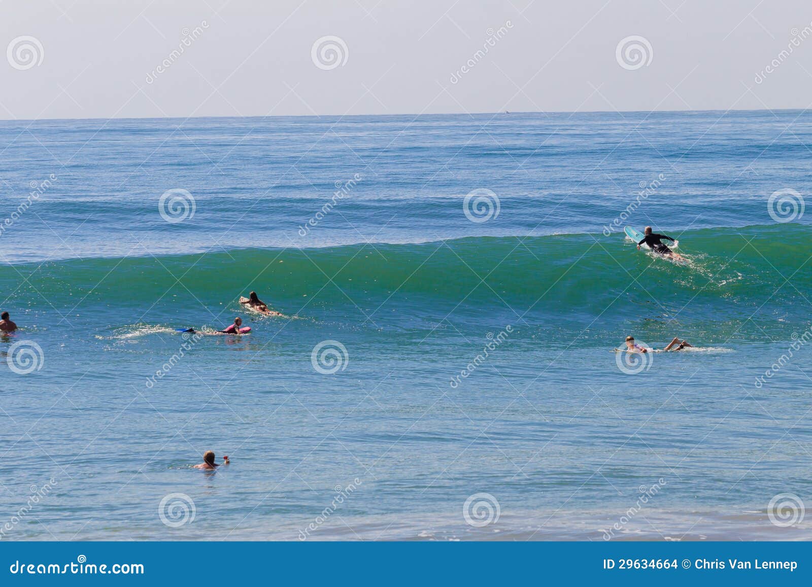 Swells Summer Surfing editorial stock image. Image of warm - 29634664