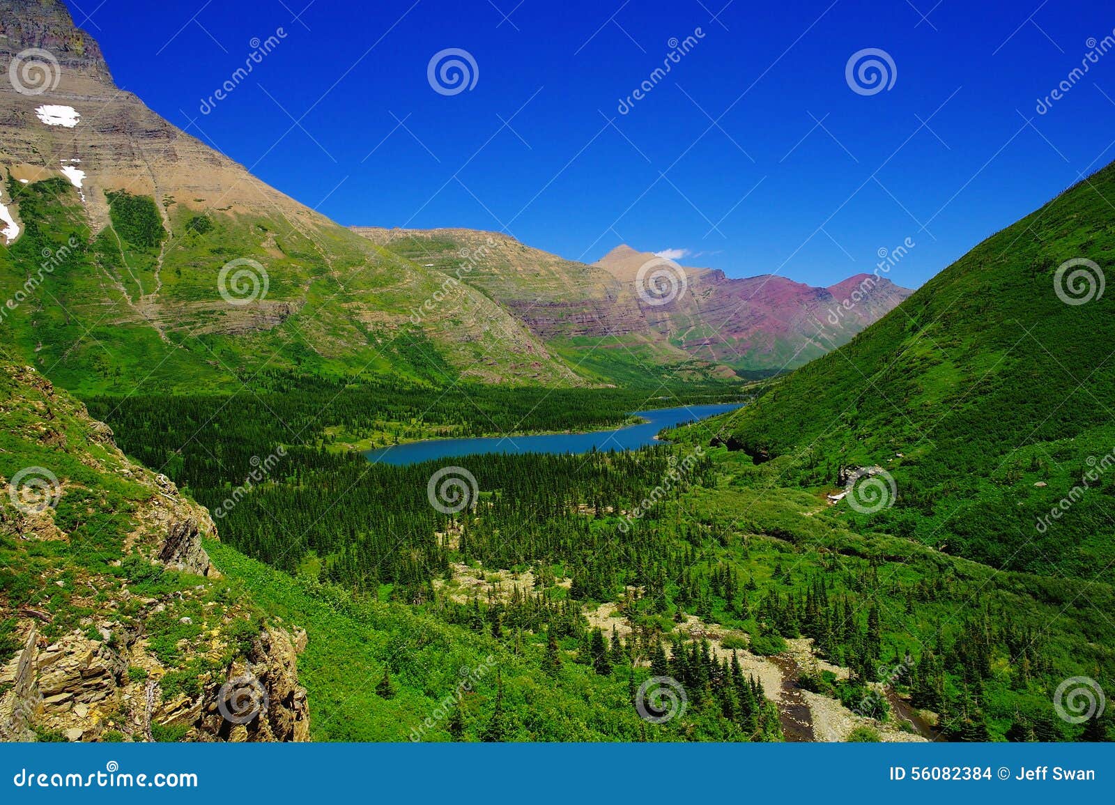 Swift Current Lake stock photo. Image of alpine, trees - 56082384
