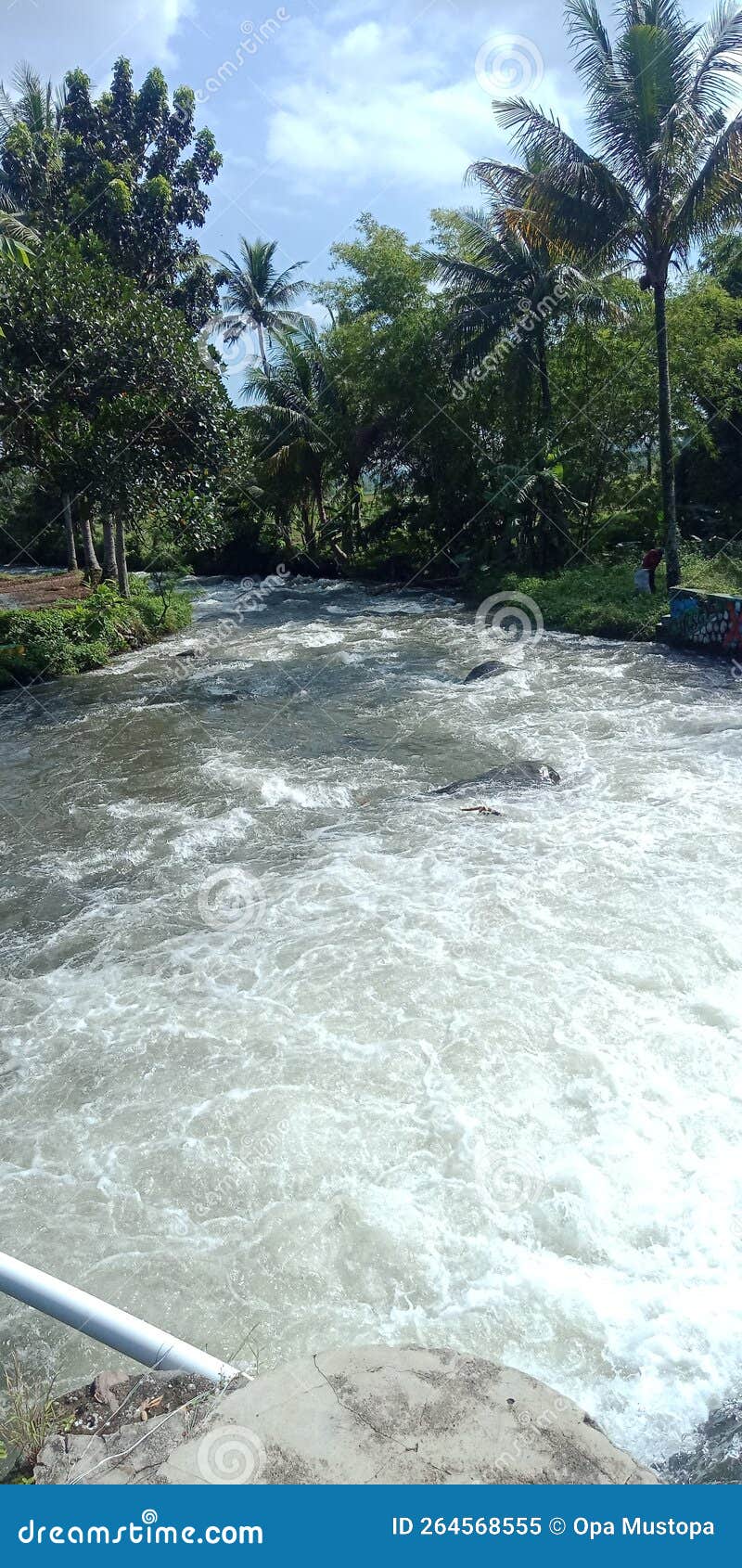 The Swift Flow of the River Stock Image - Image of boat, stream: 264568555