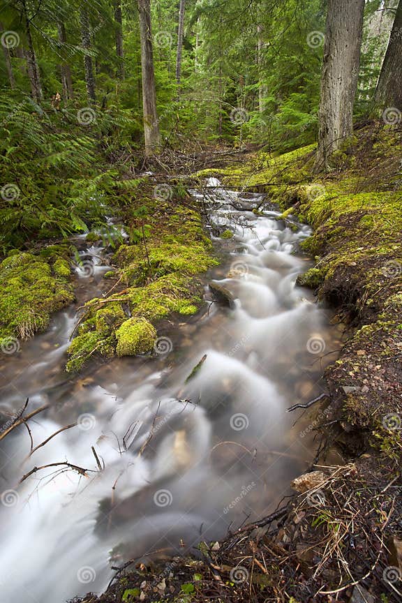 Swift moving stream. stock image. Image of rock, bend - 19006379