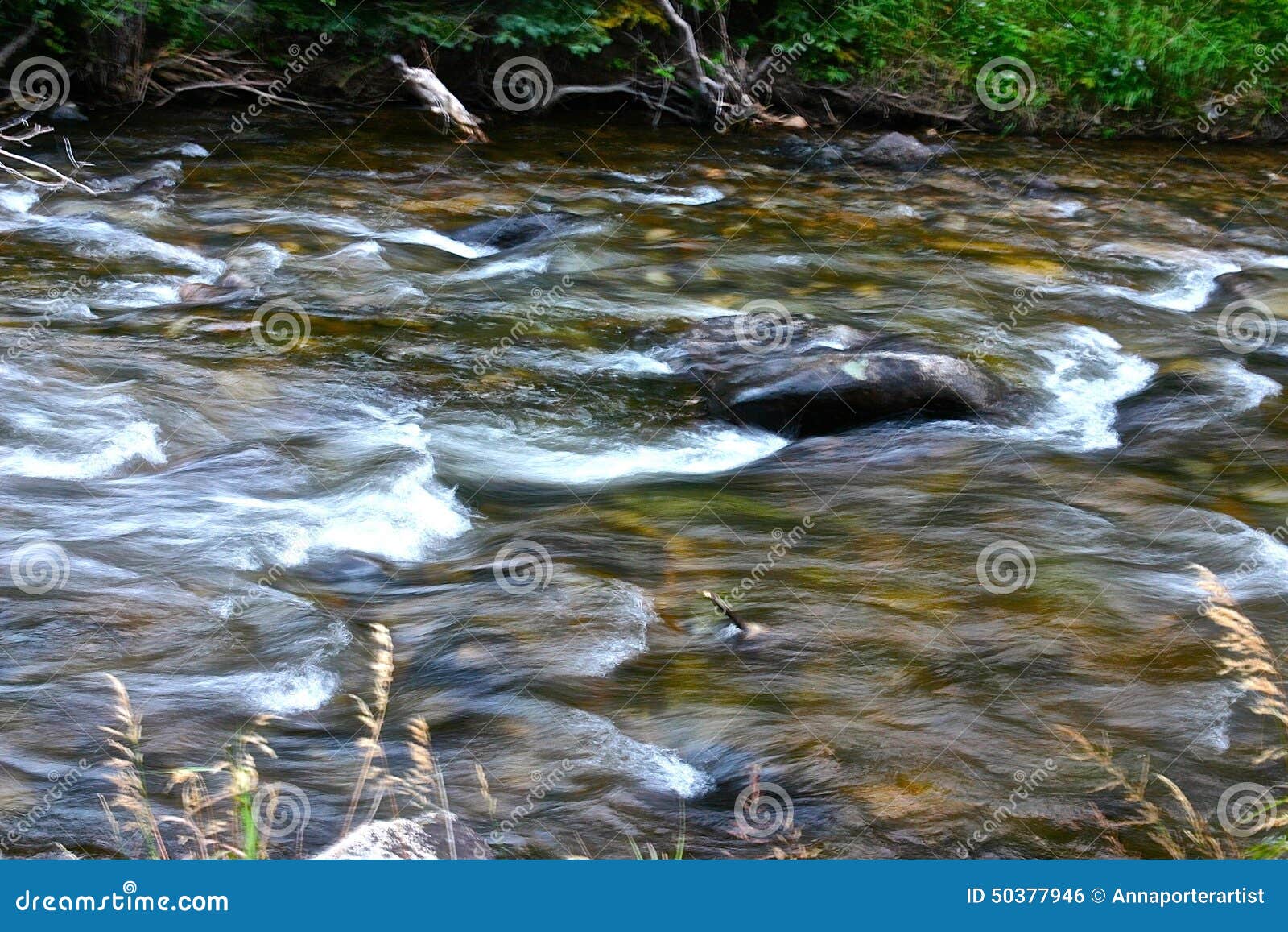 Swift moving stream stock photo. Image of water, rock - 50377946
