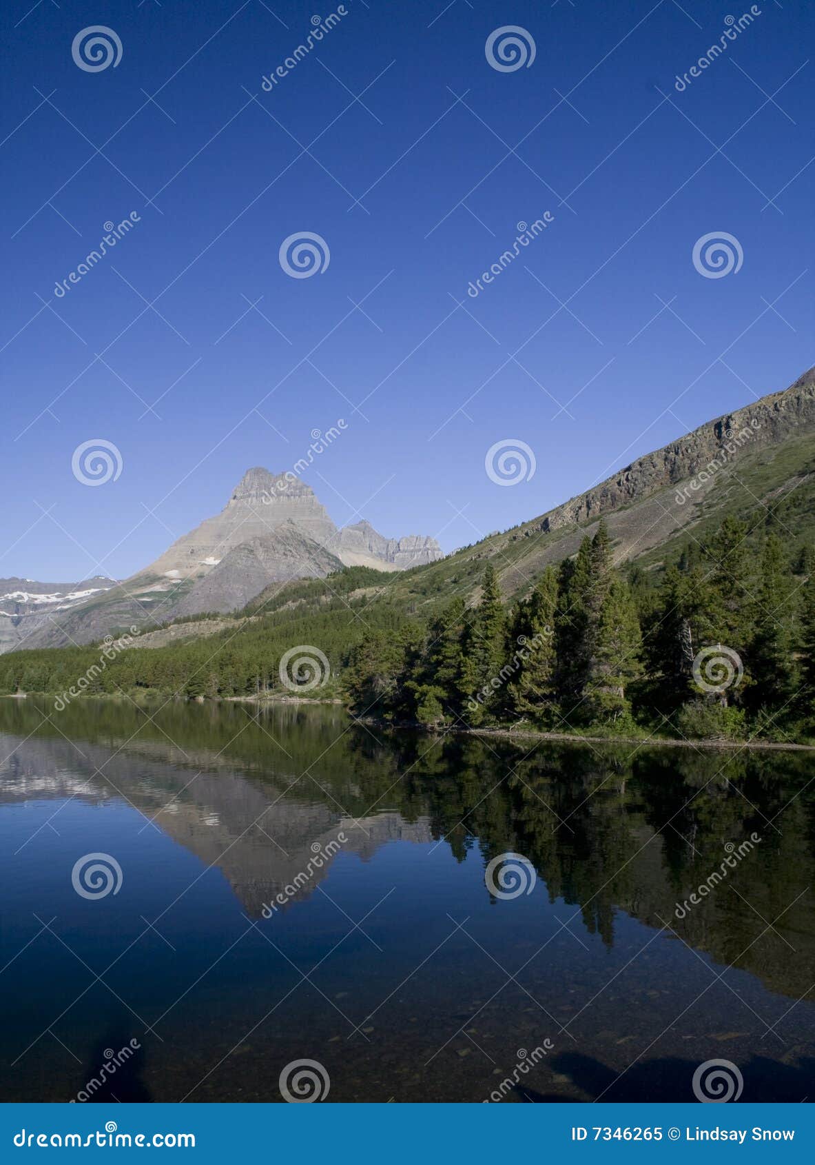 Swiftcurrent Lake stock image. Image of nature, clear - 7346265