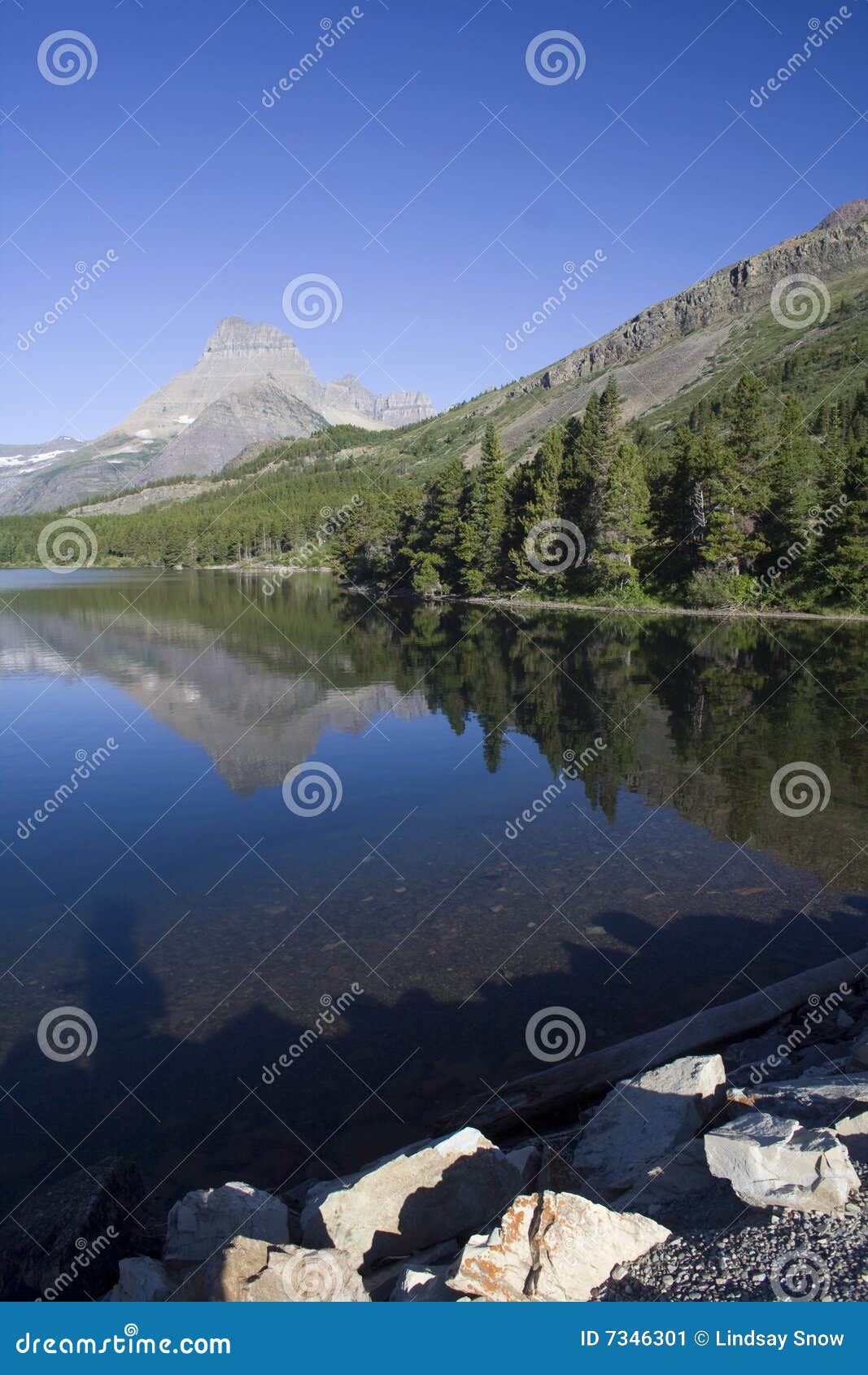 Swiftcurrent Lake stock image. Image of peak, america - 7346301
