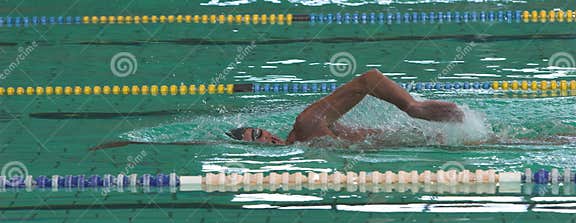 Swim stock photo. Image of child, exercise, close, freestyle - 1858564
