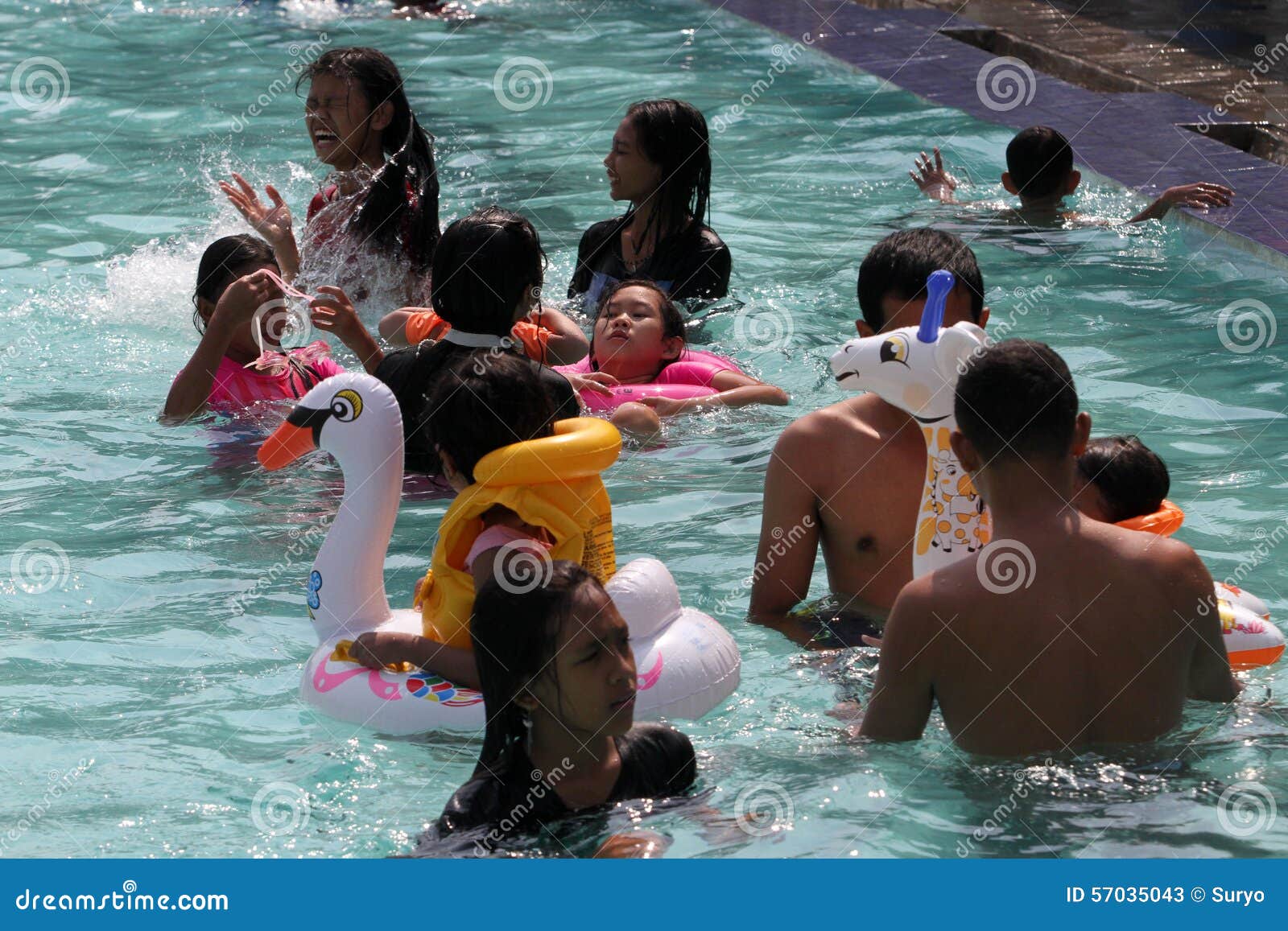 Swim editorial stock photo. Image of water, central, indonesia - 57035043