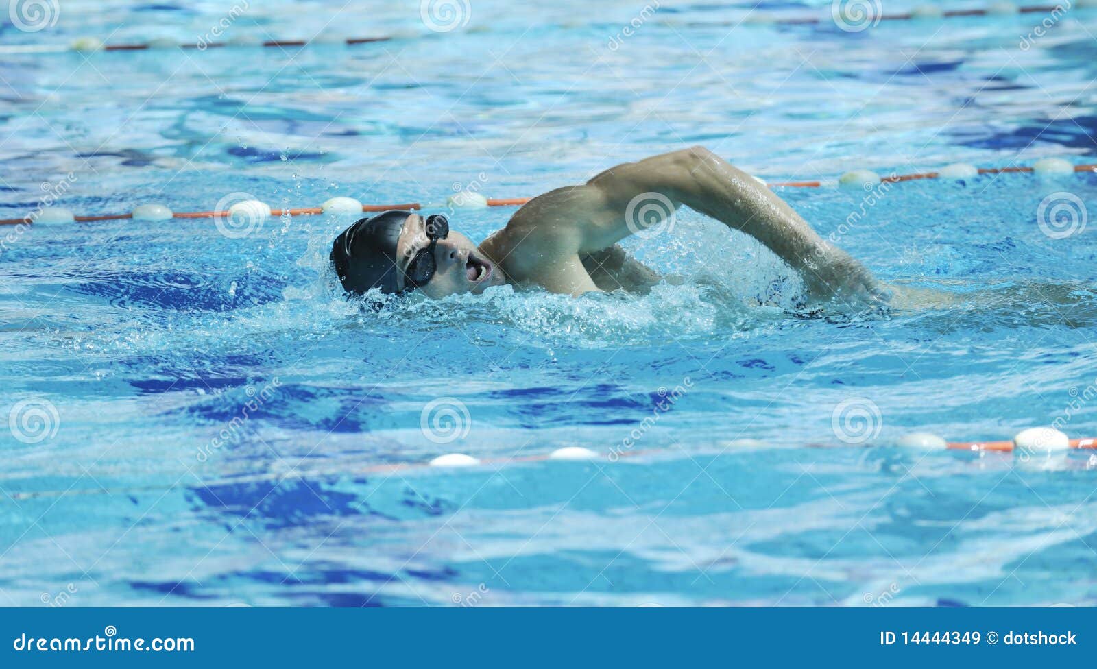 Swim pool stock image. Image of lifestyle, blue, speed - 14444349