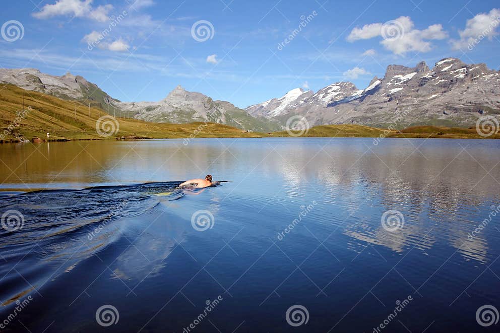 Swim in the reflections stock photo. Image of contrast - 2932412
