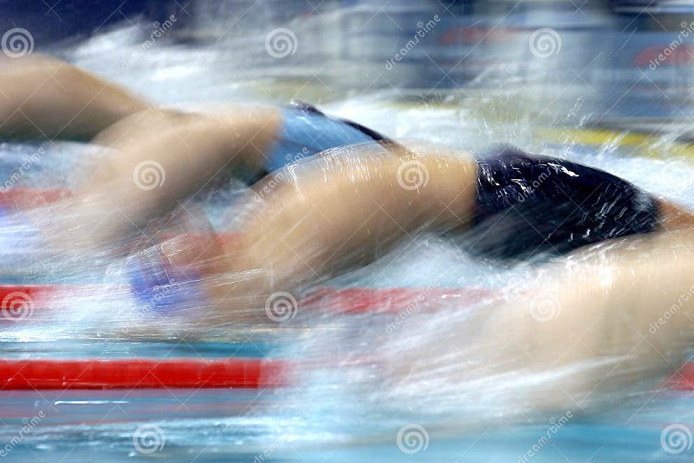 Swim start 5 stock photo. Image of compete, race, sport - 1961382