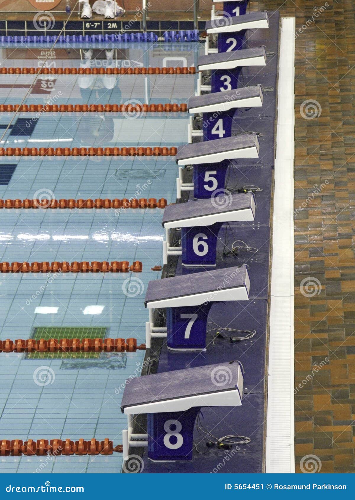 Swim starting blocks stock image. Image of starting, olympics - 5654451