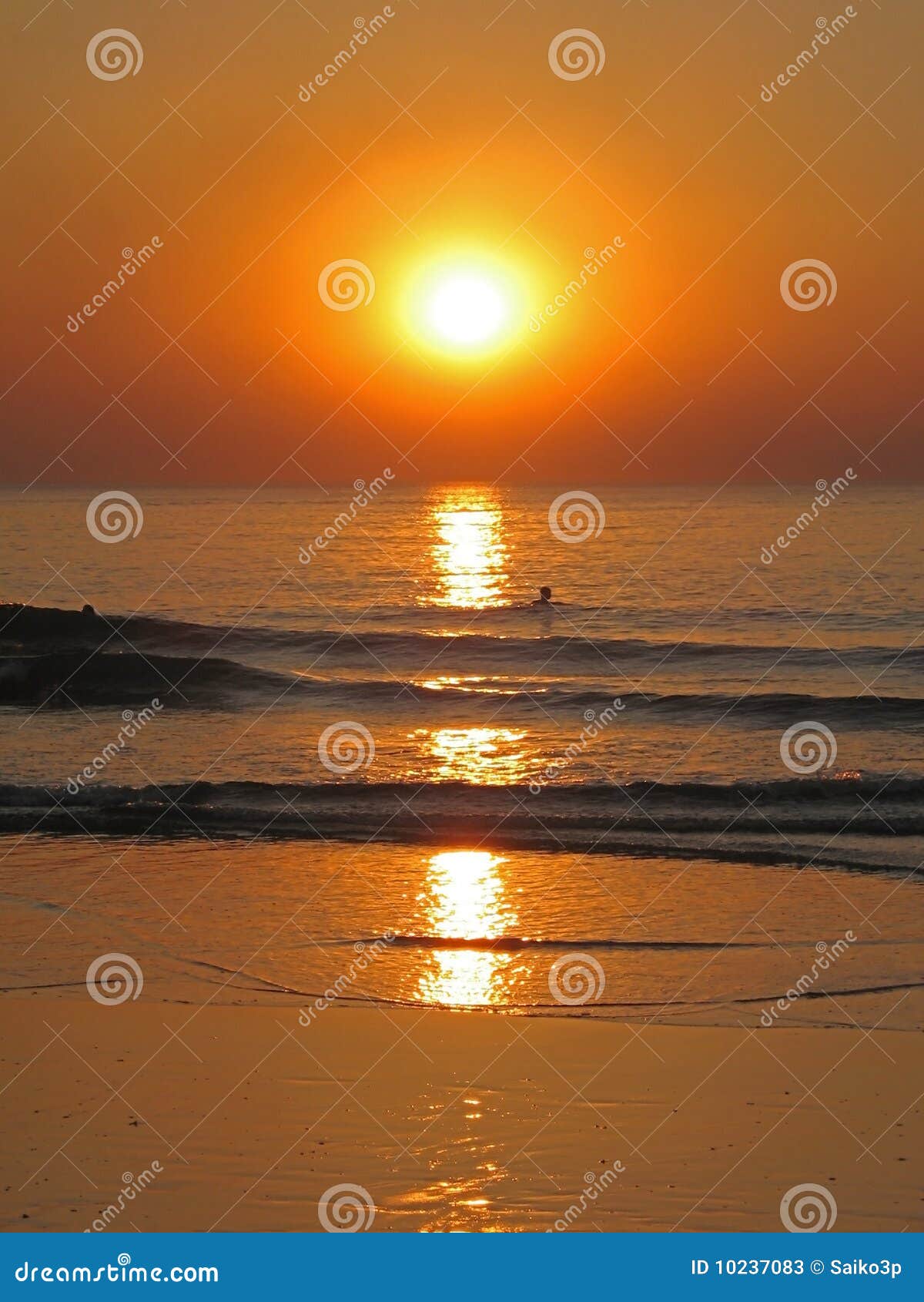 Swim at sunset stock image. Image of recreation, athletic - 10237083