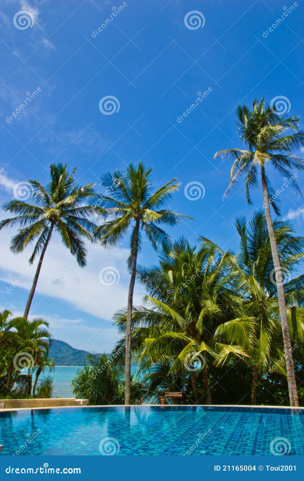 Swiming Pool and Coconut Tree Stock Photo - Image of holiday, relax ...