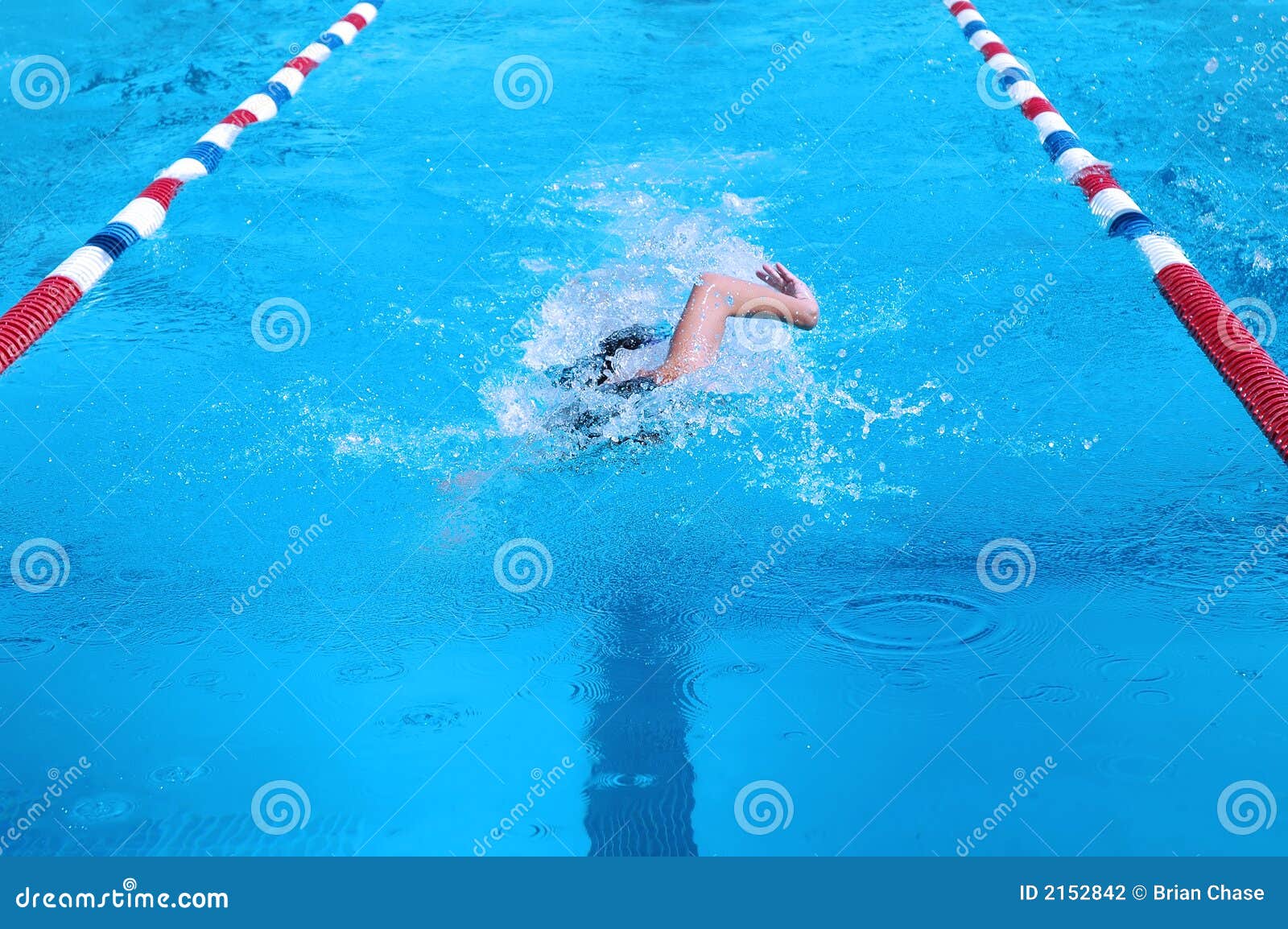Swimmer stock photo. Image of chlorine, fitness, spring - 2152842