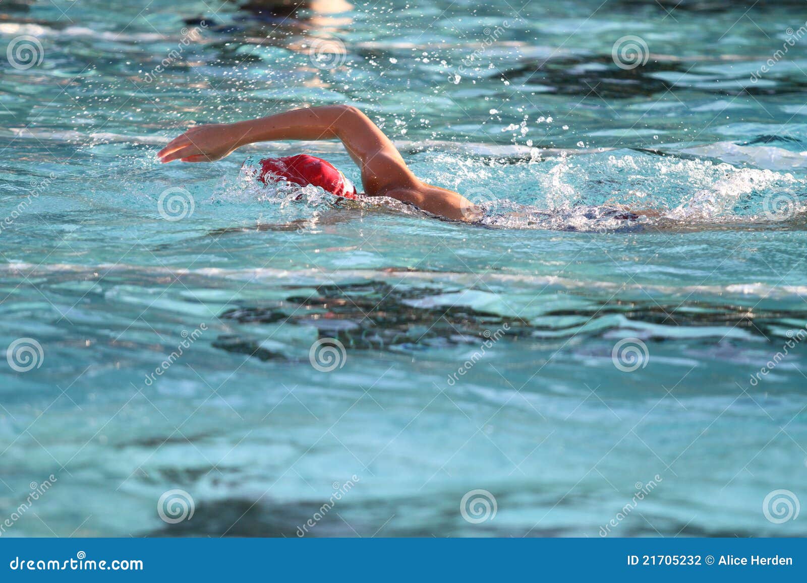 Swimmer stock photo. Image of splash, meet, water, swim - 21705232